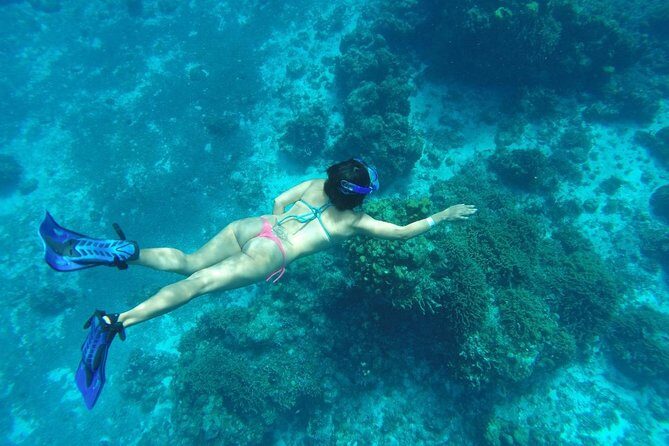 El Cielo and Snorkel Private Excursion - Final Thoughts: Is It Worth It?