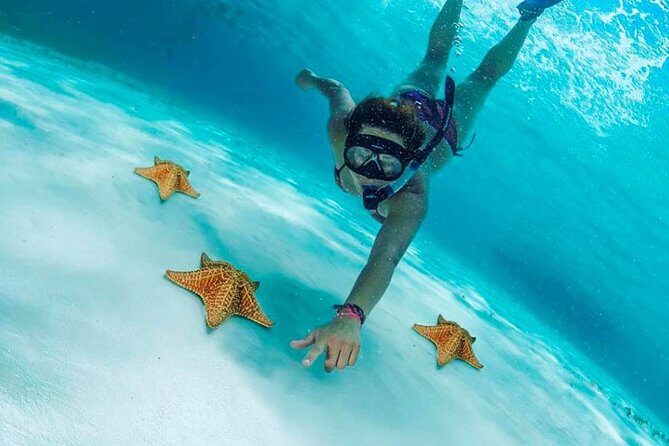 El Cielo Cozumel, a paradisiacal tour. Be amazed by the stars near to you. - The Appeal of the El Cielo Cozumel Tour