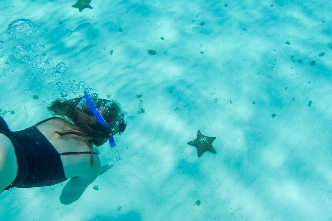 El Cielo Cozumel, a paradisiacal tour. Be amazed by the stars near to you. - Final Thoughts