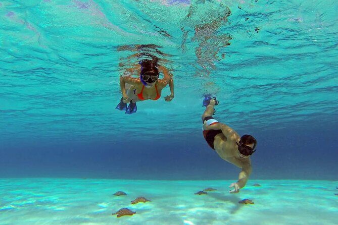 El cielo Cozumel From Cancún and round Transfer with Lunch - What You Can Expect from the Tour