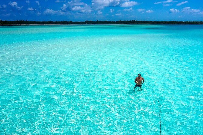 El cielo Cozumel From Cancún and round Transfer with Lunch - Authentic Marine Encounters and Scenery