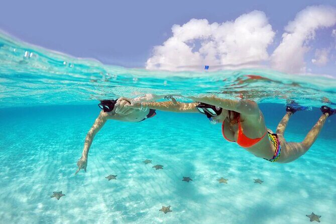 El cielo Cozumel From Cancún and round Transfer with Lunch - Who Should Book This Tour?