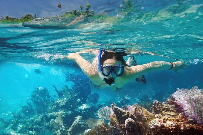 El cielo Cozumel From Cancún and round Transfer with Lunch - FAQ
