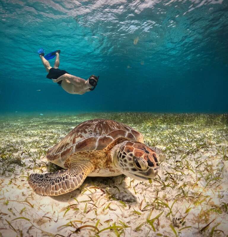 El Cielo Cozumel private snorkel tour - Authentic Experiences and Real Feedback