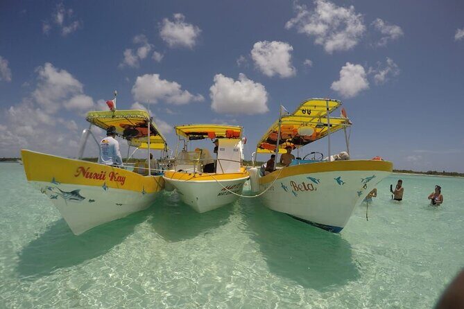 El Cielo Cozumel Snorkeling by Private Boat - The Real Deal: What to Expect from This Private Snorkeling Tour