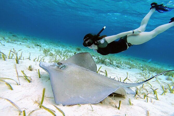 El Cielo Cozumel Snorkeling by Private Boat - Service, Guides, and Overall Experience