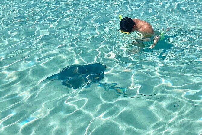 El Cielo Cozumel Snorkeling by Private Boat - The Sum Up