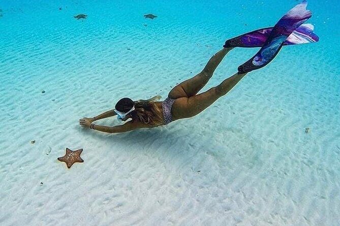 El Cielo Cozumel Snorkeling Tour - All-Inclusive - Who Is This Tour Best For?