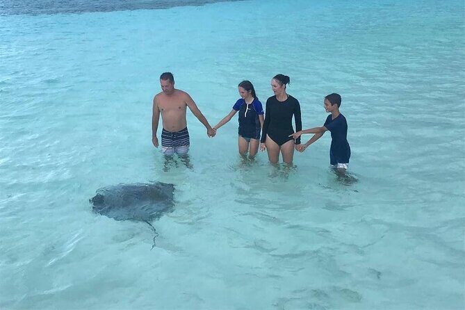 El Cielo Cozumel Snorkeling trip by Catamaran - The Value of This Tour