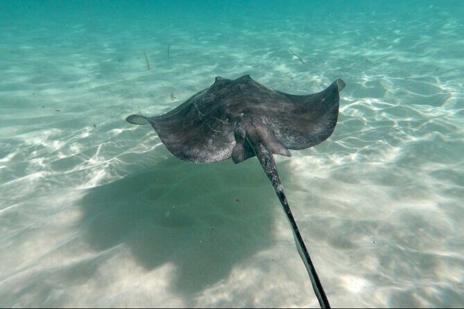 El Cielo Palancar and Columbia Snorkeling Tour - Why Choose This Tour?