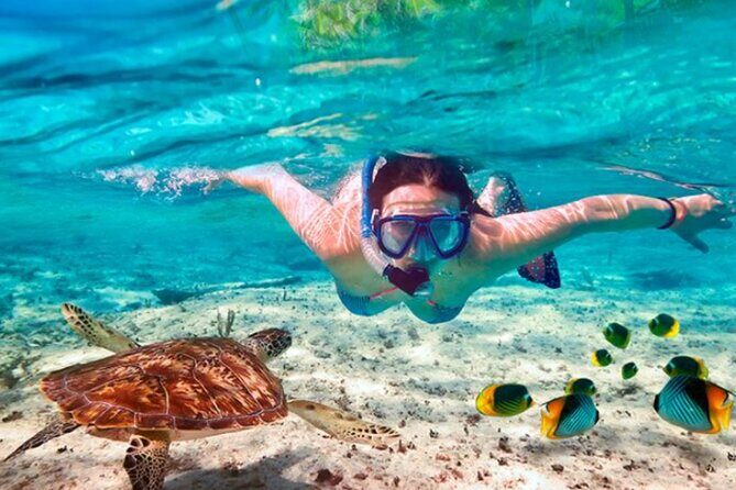 El Cielo Palancar and Columbia Snorkeling Tour - Authentic Traveler Insights