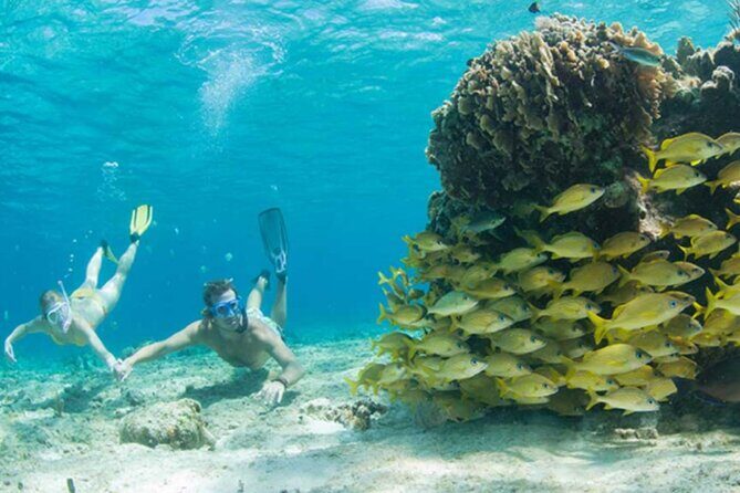 El Cielo Palancar and Columbia Snorkeling Tour - Who’s This Tour Best For?