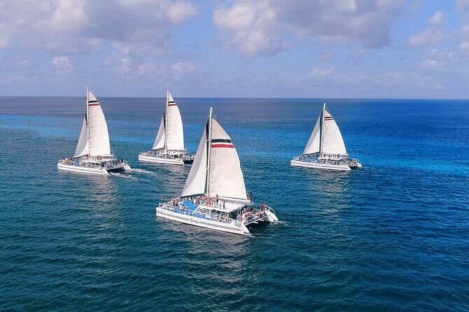 El Cielo, Palancar Snorkel & Beach Party Experience - FAQ