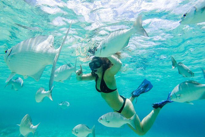 El Cielo Snorkel by Private Boat - The Experience: What’s Included and What to Expect