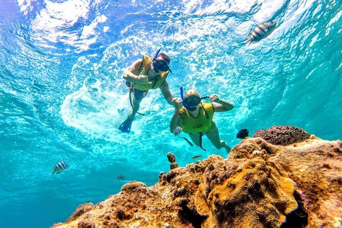 El Cielo Snorkel by Private Boat - Who Will Love This Tour?