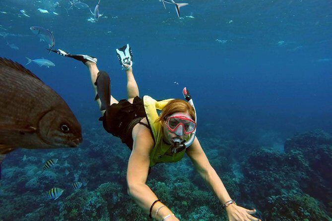 El Cielo Snorkel by Private Boat - FAQ