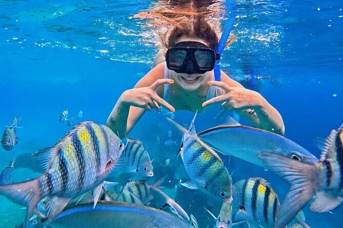 El Cielo Snorkeling Tour and The Top Reefs of Cozumel - An Inviting Introduction to Cozumel’s Underwater Scene