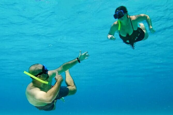 El Cielo Snorkeling Tour and The Top Reefs of Cozumel - Practical Details: Transportation, Timing, and Group Size