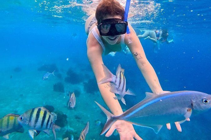 El Cielo Snorkeling Tour and The Top Reefs of Cozumel - The Sum Up: Who Will Love This Tour?