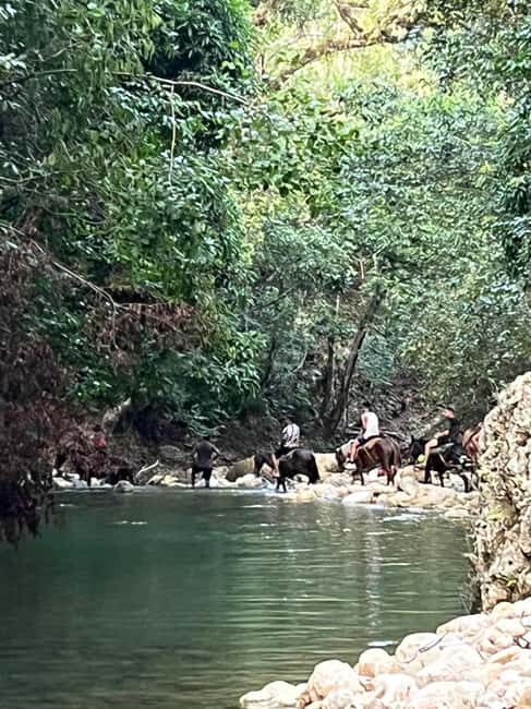 El Limon: Horse Ride Waterfall Waterfall Jump - What to Expect on the El Limon Tour