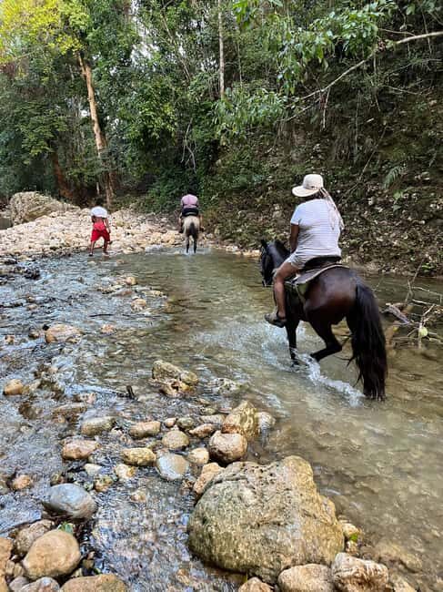 El Limon: Horse Ride Waterfall Waterfall Jump - Authentic Experiences and Traveler Feedback