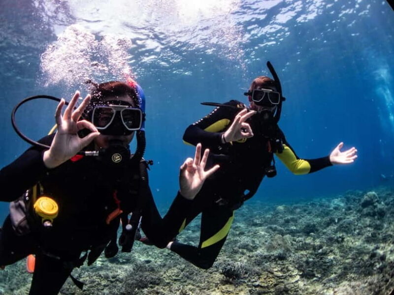 El Nido: Deep Blue Dive Seafari Experience - An Authentic Look at El Nido’s Dive Experience