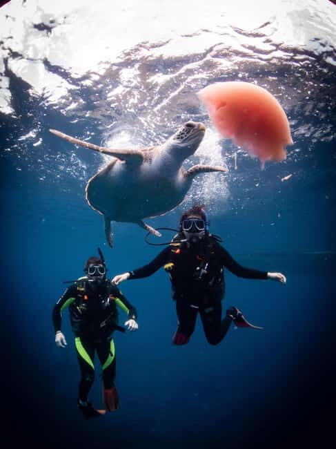 El Nido: Deep Blue Dive Seafari Experience - Final Thoughts: Who Is This Tour Best For?