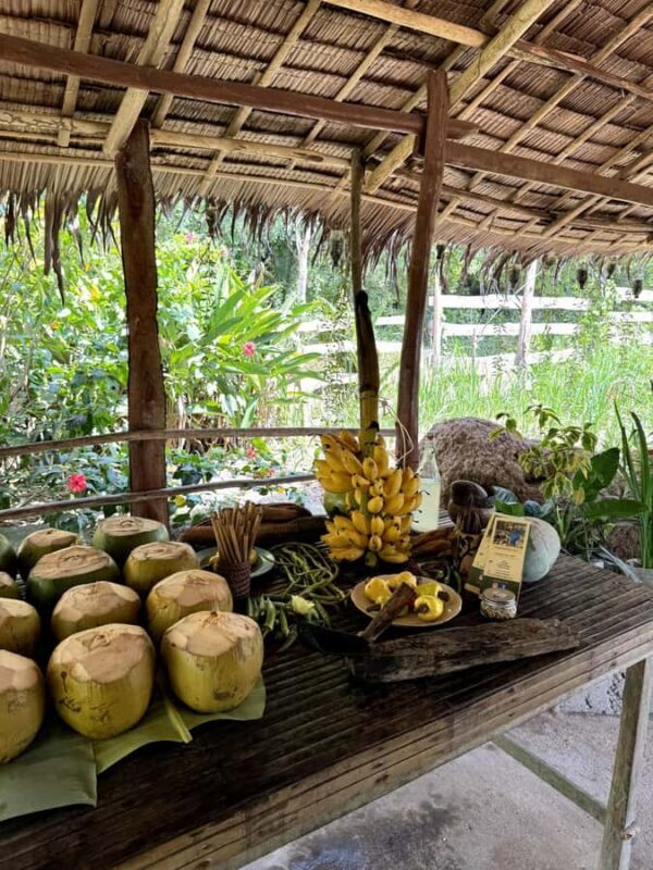 El Nido: Farm Tour, Snorkeling, Dinner, and Nipa Hut Stay - Key Points