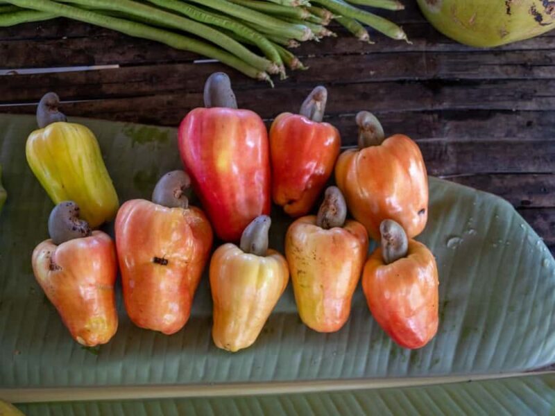 El Nido: Farm Tour, Snorkeling, Dinner, and Nipa Hut Stay - Overview of the Experience