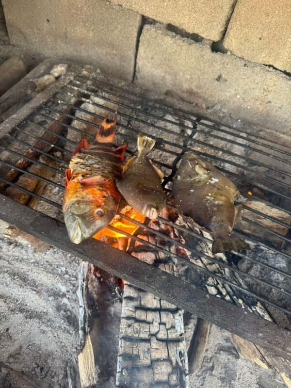 El Nido: Fishing & Snorkeling on a Private Island - Final Thoughts