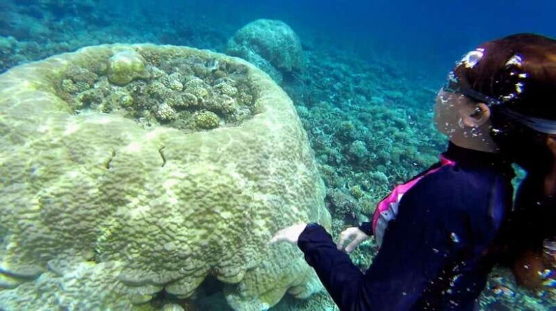 El Nido: Island Hopping Tour B Cudognong Cave & More - Final Thoughts