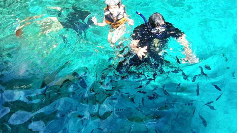 El Nido: Private/Exclusive Island Hopping Tour A BEST PRICE! - The Sum Up