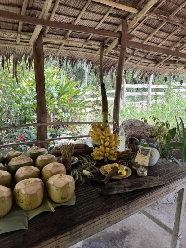 El Nido, Sibaltan: Local Organic Farm Tour & Product Tasting - Key Points