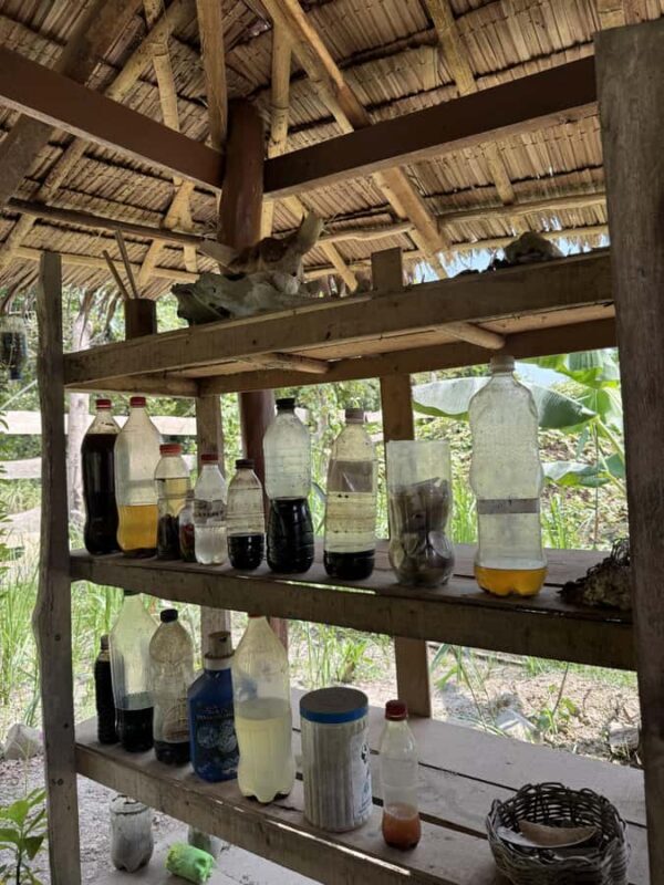 El Nido, Sibaltan: Local Organic Farm Tour & Product Tasting - An Introduction to a Genuine Filipino Farm