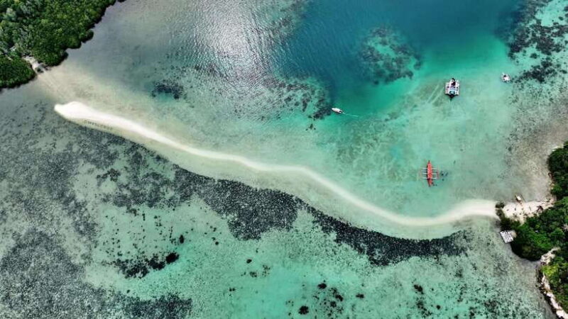 El Nido: Snake Island and Cave Tour with Island Lunch - Who This Tour Is Perfect For