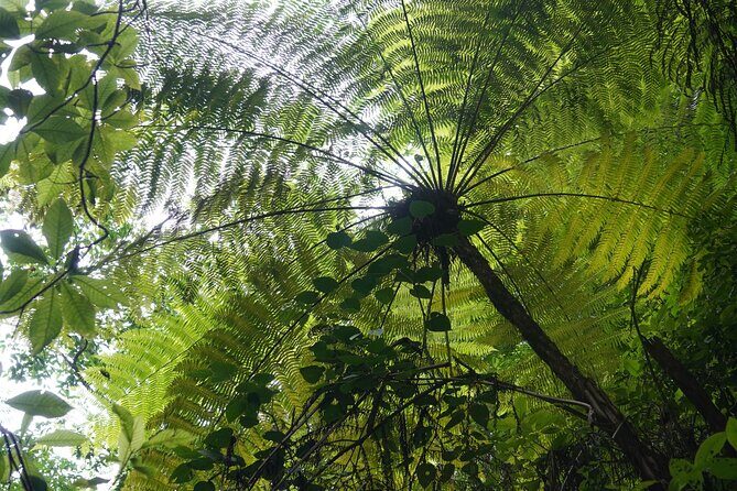 El Nogalito Mountain River- Hiking Tour - Final Thoughts