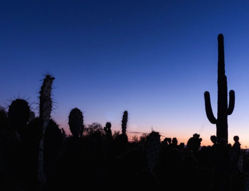 El Paso: Sun City Ghost Walking Tour - Practical Details and Tips