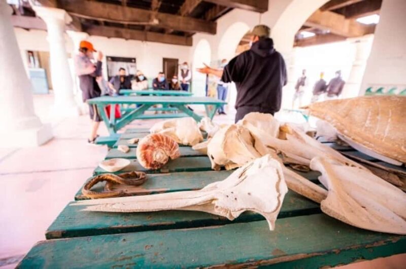 El Pinacate: 5-day tour to the craters and the Altar desert - Practical Details: What to Expect