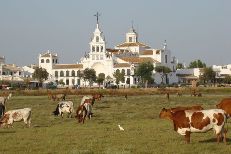El Rocío: Doñana National Park 4x4 Guided Tour - Discovering Doñana: A 4x4 Guided Tour Review