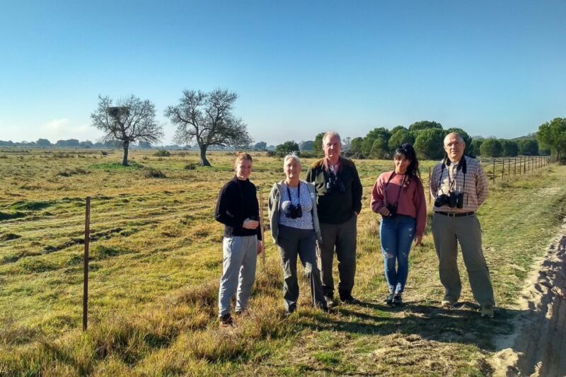 El Rocío: Doñana National Park 4x4 Guided Tour - Key Points