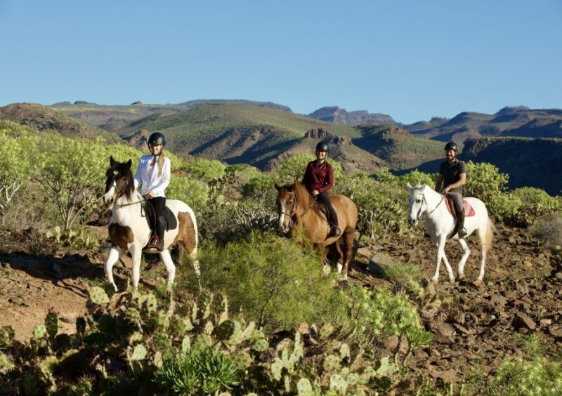 El Salobre: Horse Riding Adventure with Transfer Options - What to Expect on the Day