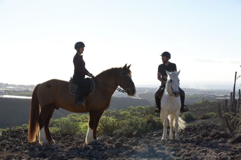 El Salobre: Horse Riding Adventure with Transfer Options - Why This Tour Is Worth Considering