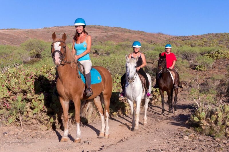 El Salobre: Horse Riding Adventure with Transfer Options - Exploring El Salobre’s Horse Riding Adventure: A Natural Escape in Gran Canaria