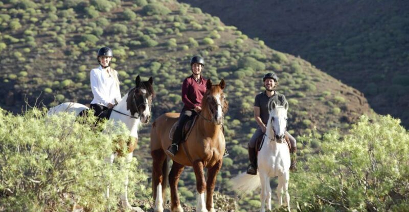 El Salobre: Horse Riding Adventure with Transfer Options - The Value Proposition: Price, Duration, and Overall Experience