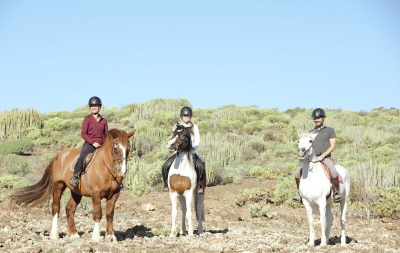 El Salobre: Horse Riding Adventure with Transfer Options - Who Should Book This Tour?