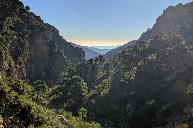 El Saltillo Gorge and White Village Hiking Tour from Malaga - Authentic Encounters and Review Highlights