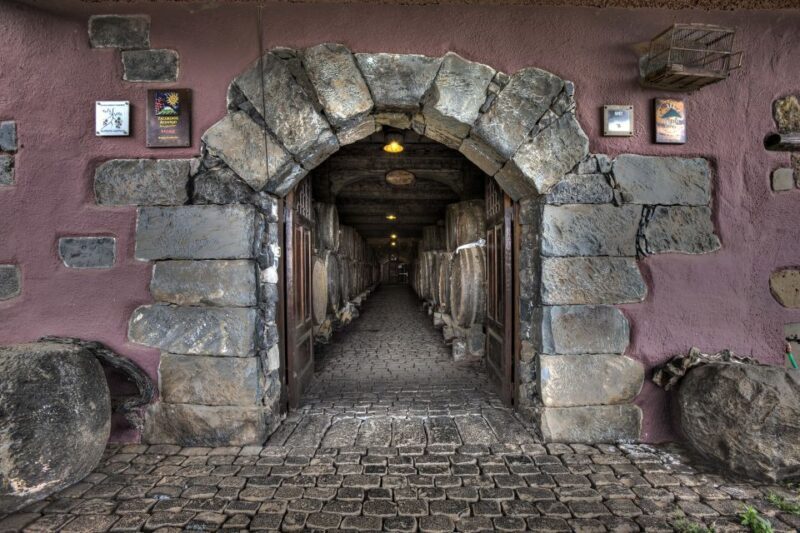 El Sauzal: Winery Tour and Mojo Sauce Workshop - An In-Depth Look at the Tour Experience