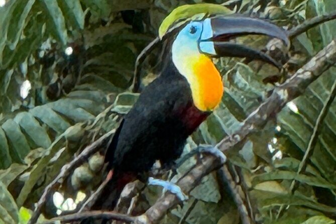 El Suzanne Estate Birding & Nature Reserve Tour - FAQ