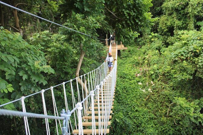 El Yunque Adventure Trail - Key Points