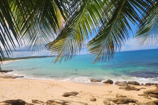 El Yunque & Beach Tour: Waterslide, Waterfall, Food, & Photos - Key Points